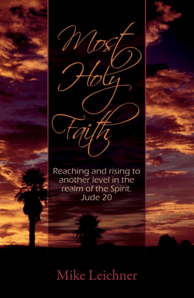 Dual Book: Most Holy Faith by Mike Leichner and Holy Desperation by Dee ...
