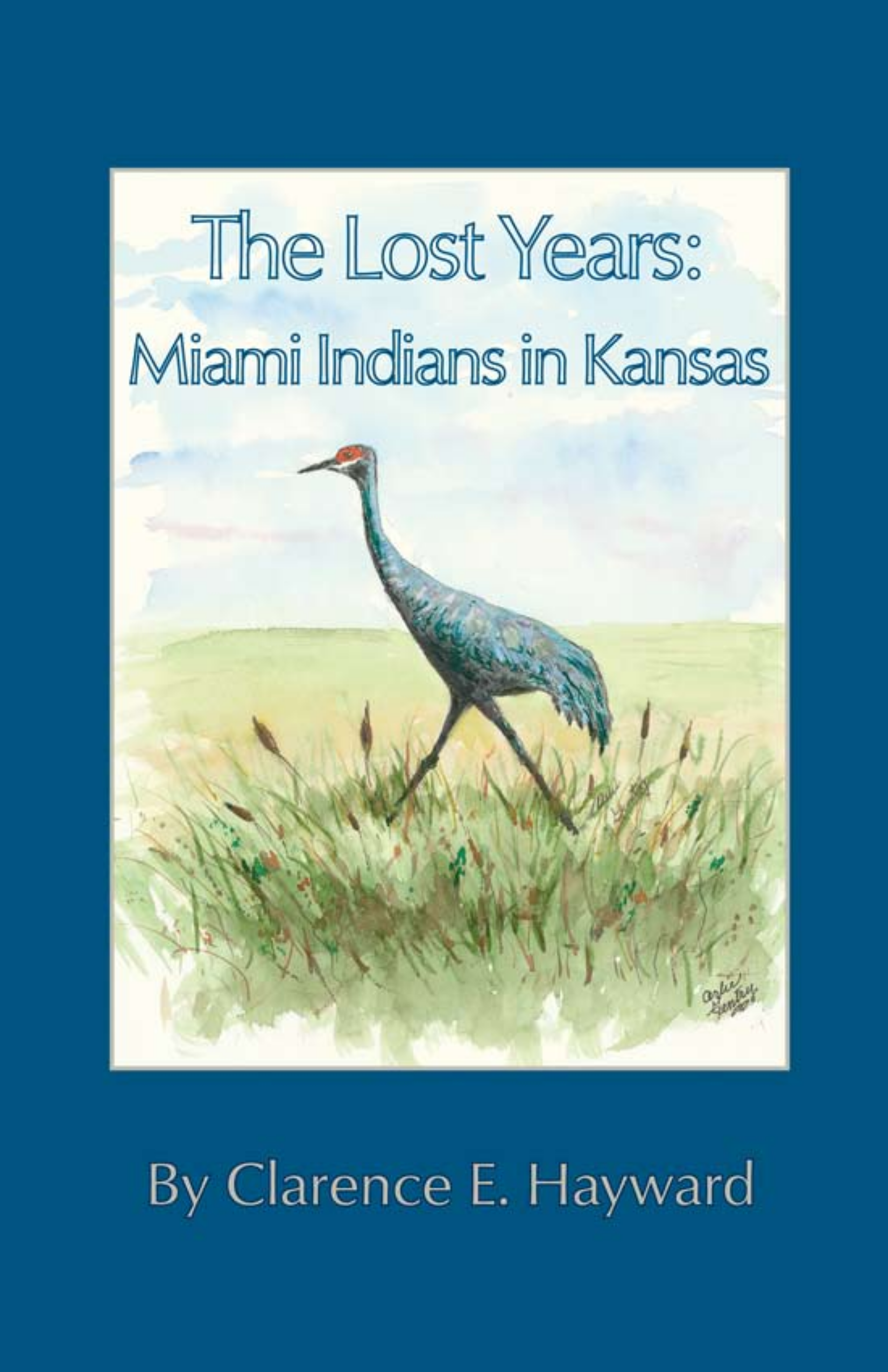 The Lost Years: Miami Indians In Kansas by Clarence E Hayward - Better ...